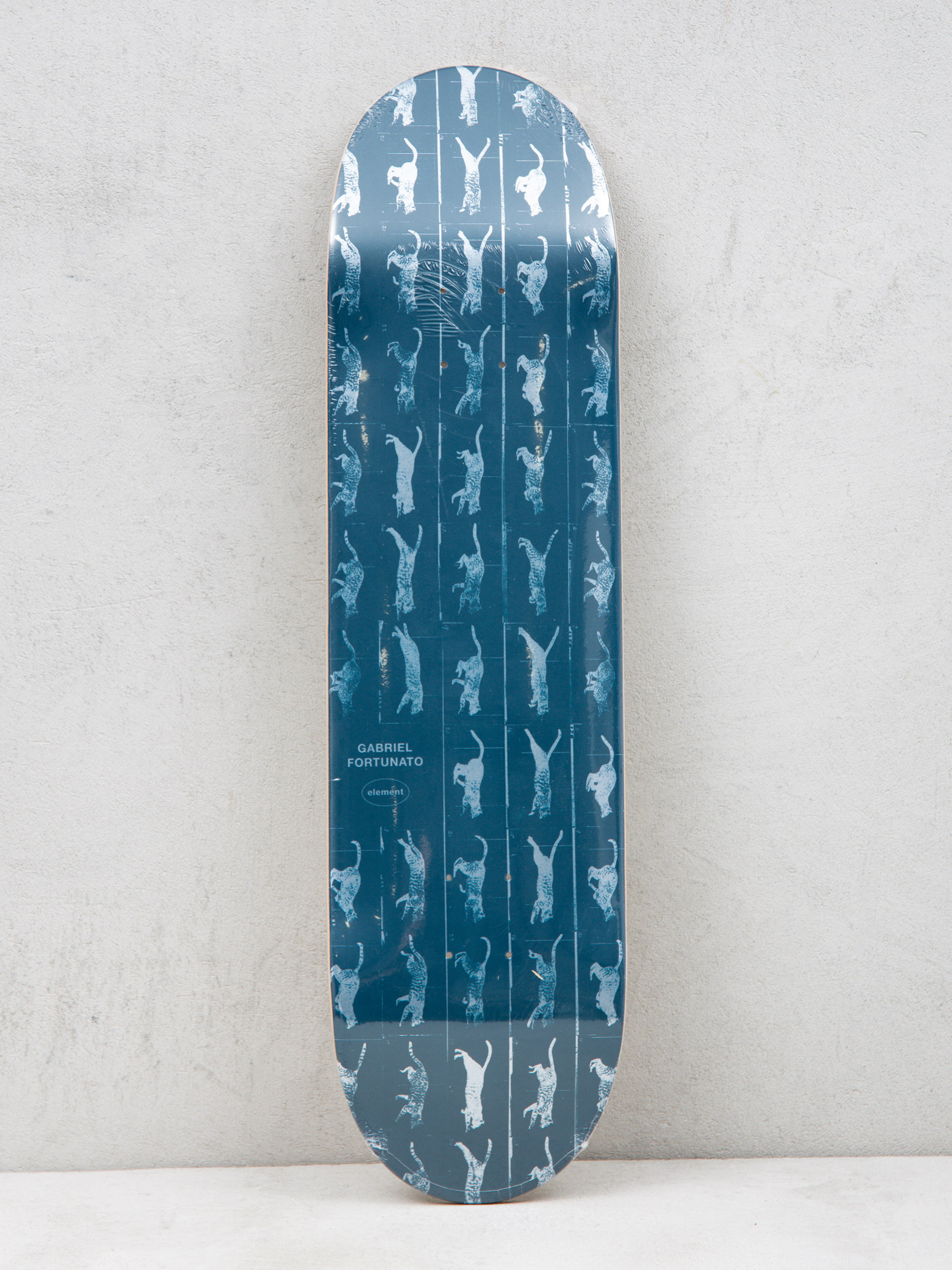 Deck Element Motion Gabriel Fortunato (assorted)